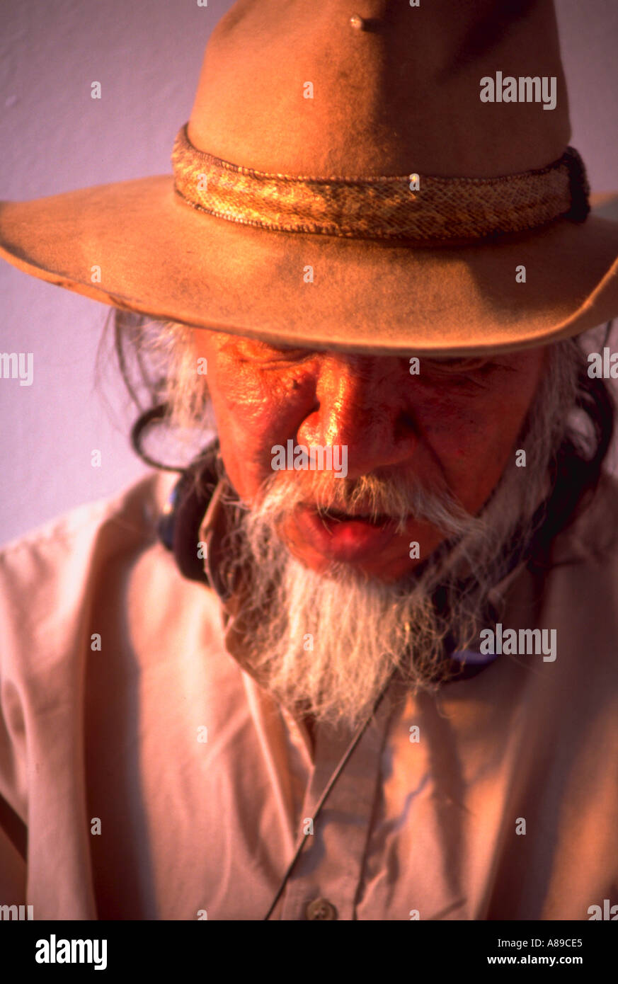 Did Native Americans Have Beards