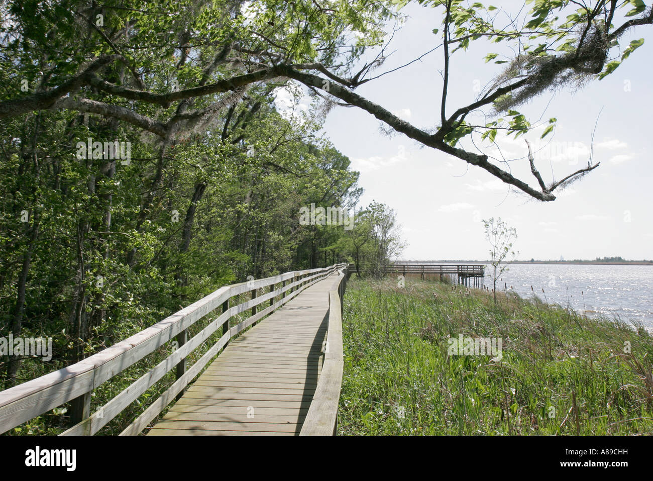 Alabama Baldwin County,historic Blakeley State Park,Tensaw River water ...