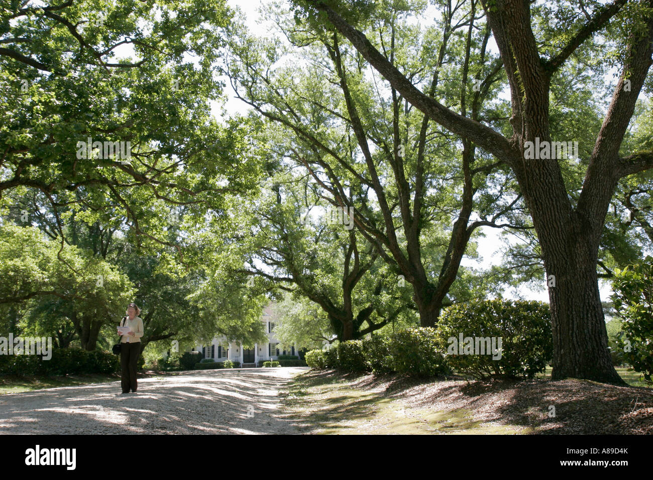Alabama Monroe County,Franklin,Chasley Farms,built 1835,adult adults ...