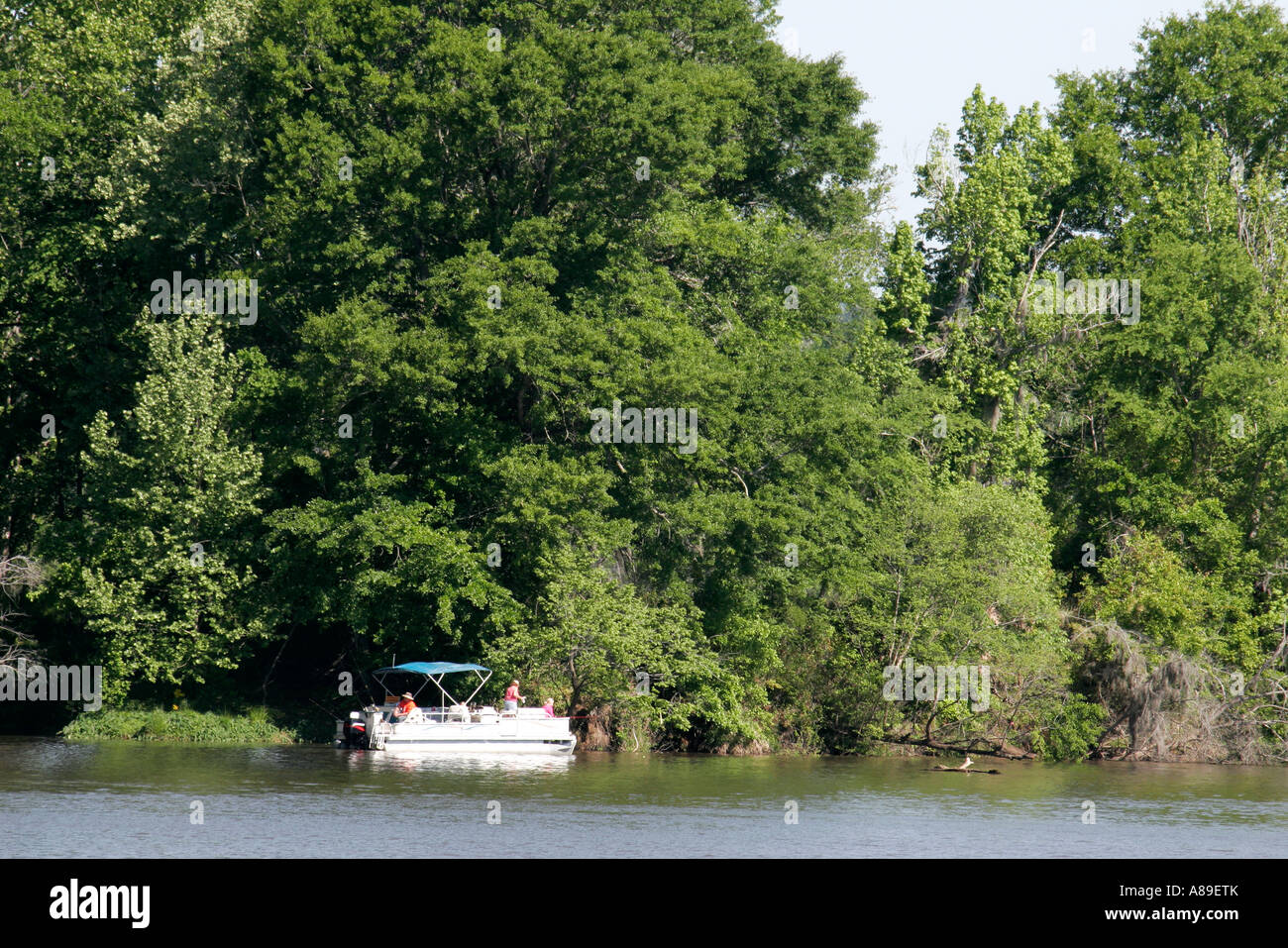 Monroeville Alabama,Isaac Creek water Campground,Claiborne Lake,Alabama ...