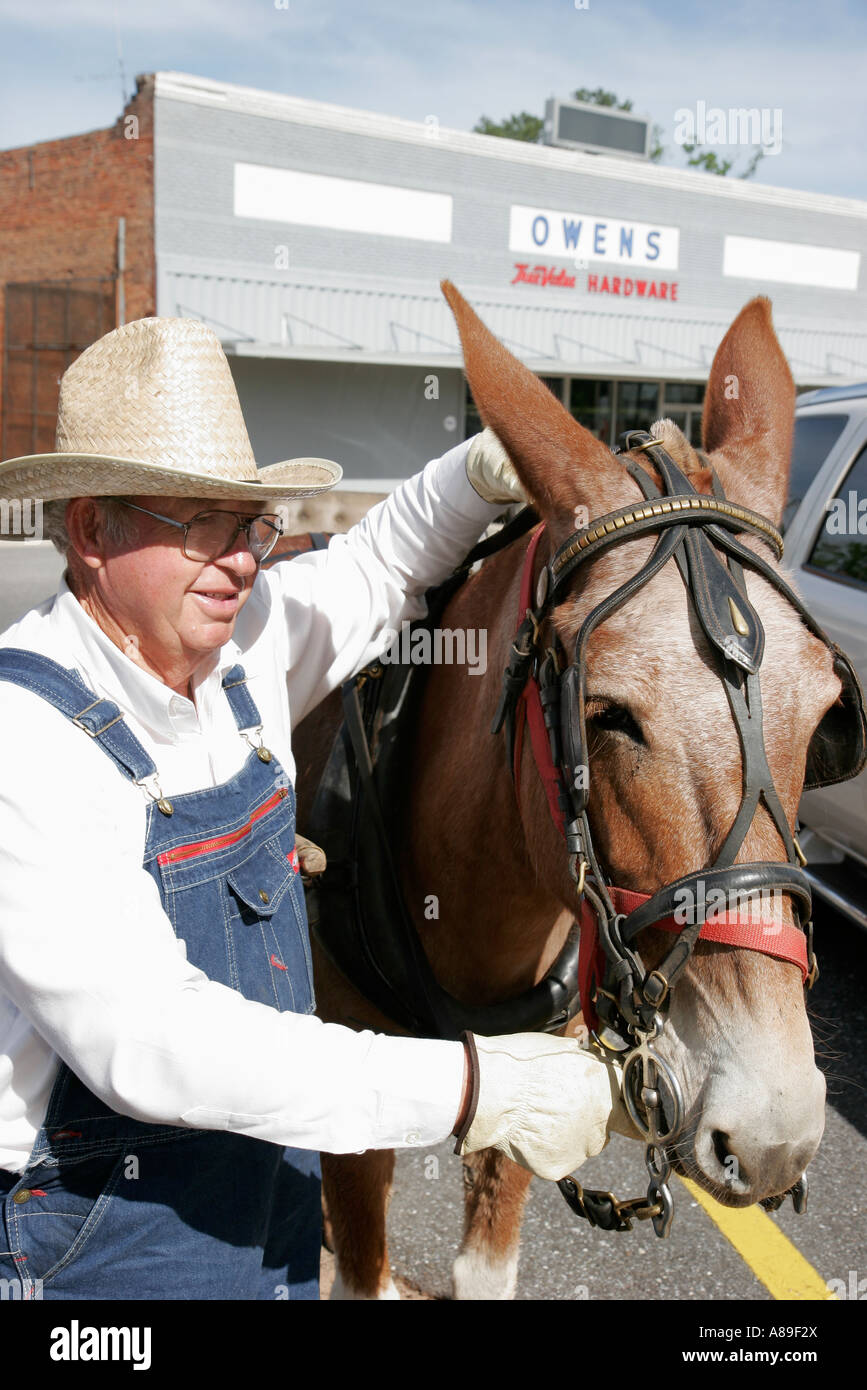 Mule Driver Stock Photos & Mule Driver Stock Images - Alamy