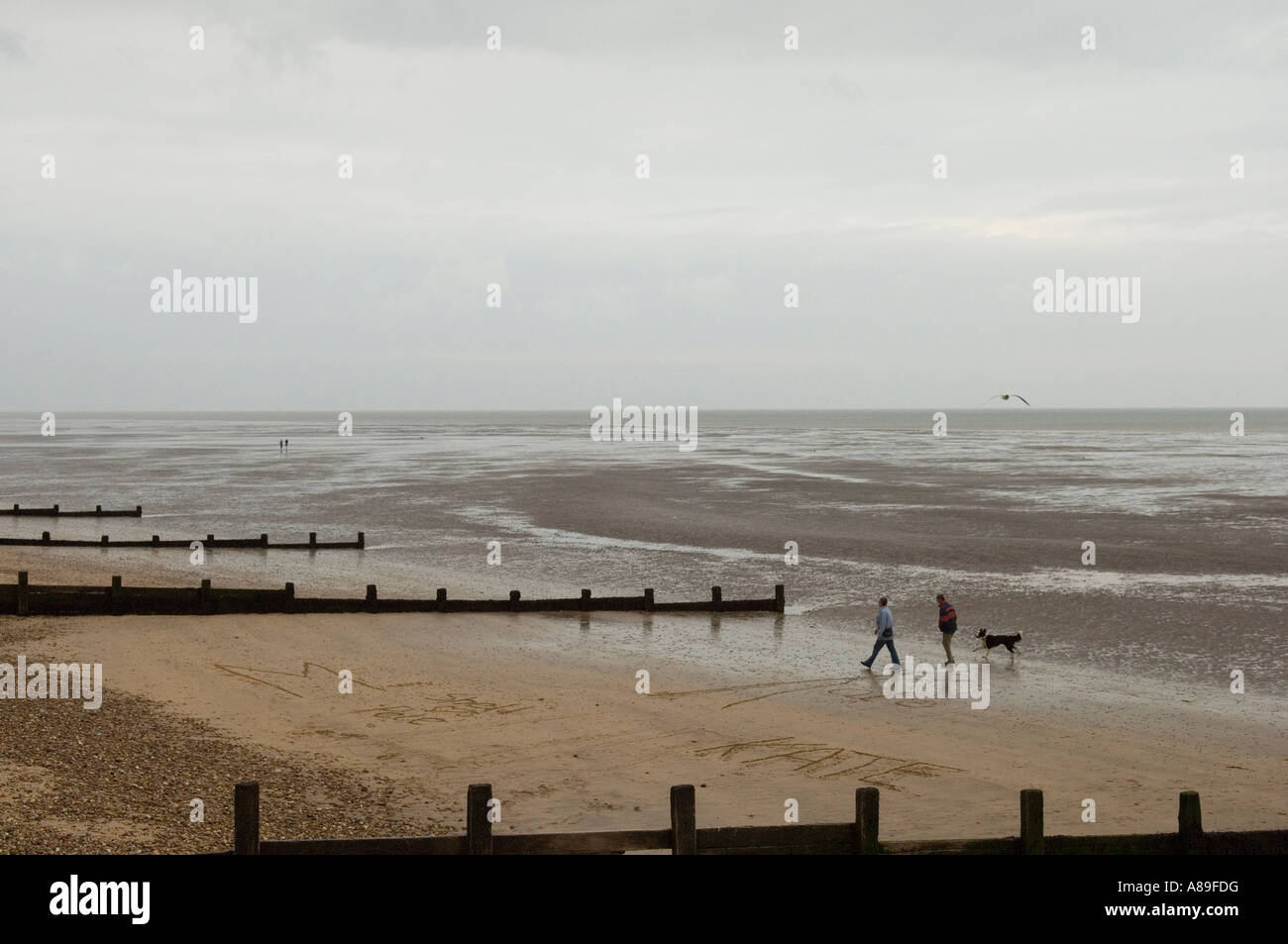 Walking on the beach at low tide Isle of Sheppey Kent Stock Photo - Alamy