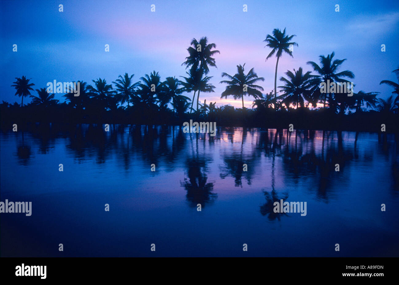 Palmen kerala hi-res stock photography and images - Alamy