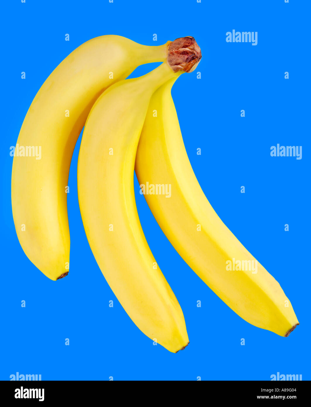THREE BANANAS ON BLUE Stock Photo - Alamy