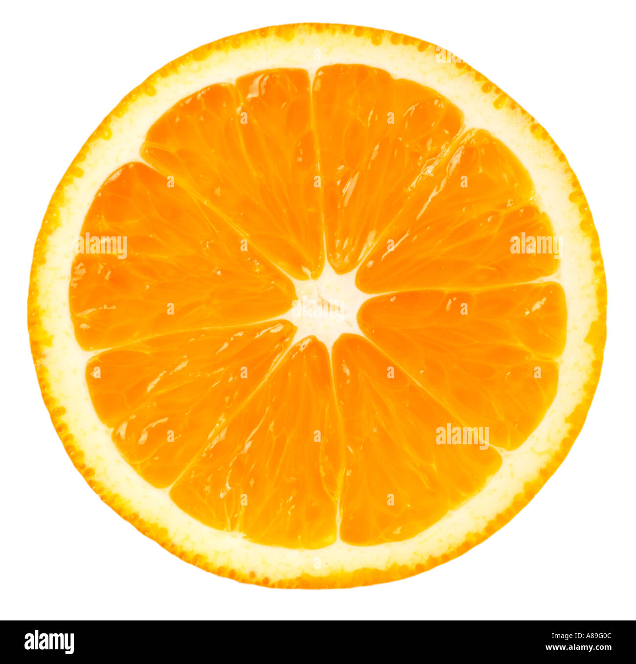 Half round shape Cut Out Stock Images & Pictures - Alamy