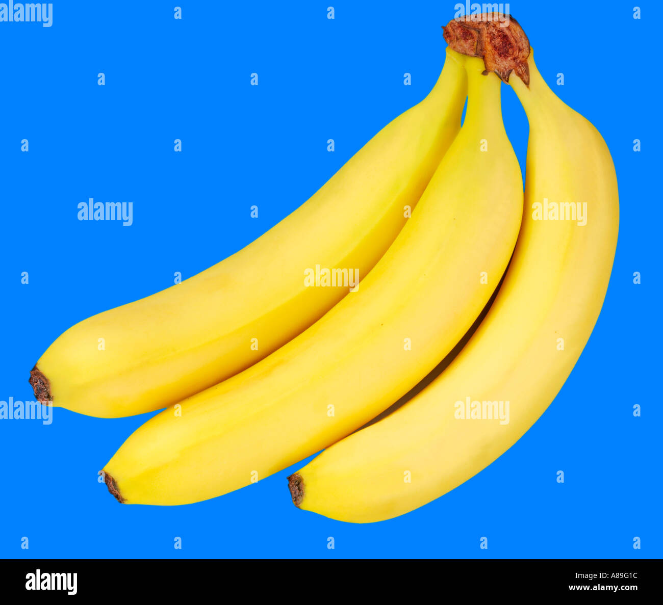 THREE BANANAS ON BLUE Stock Photo - Alamy