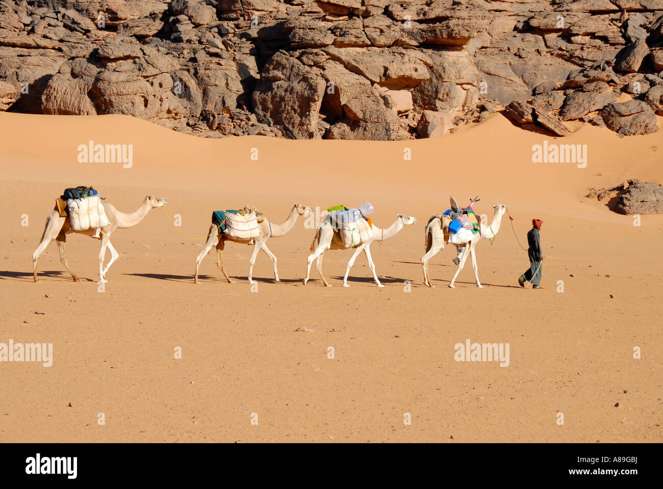 Libya Tuareg Camel Africa Desert High Resolution Stock Photography and ...