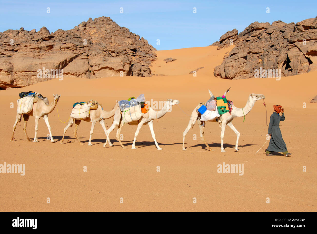Libya Tuareg Camel Africa Desert High Resolution Stock Photography and ...