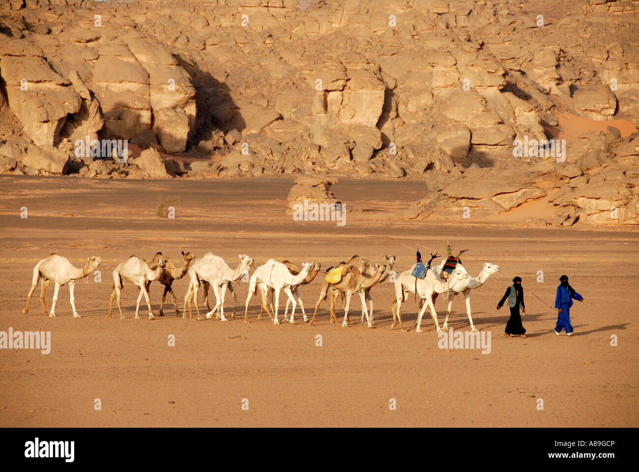 Libya Tuareg Camel Africa Desert High Resolution Stock Photography and ...