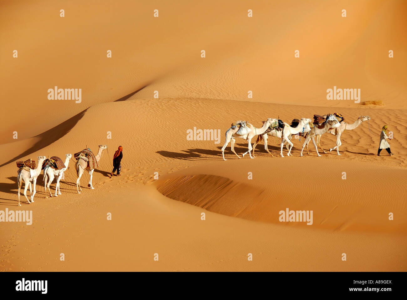Libya Tuareg Camel Africa Desert High Resolution Stock Photography and ...