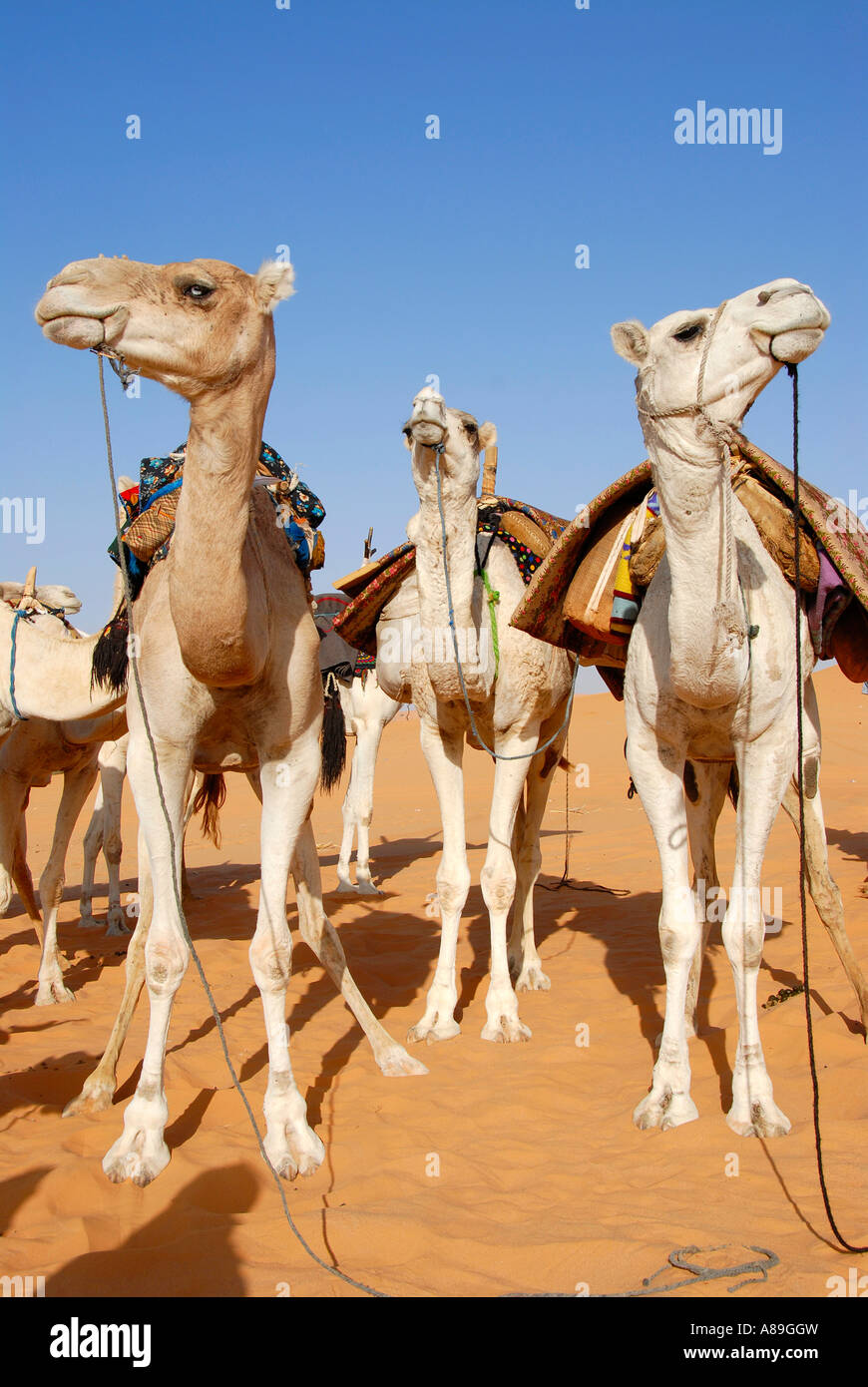 Three directions hi-res stock photography and images - Alamy