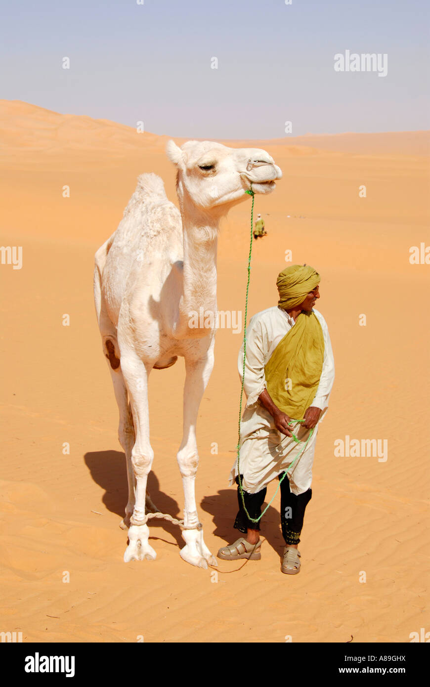Libya tuareg camel africa desert hi-res stock photography and images ...