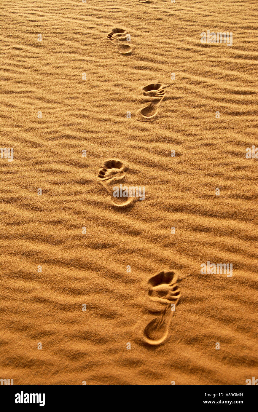 Human track Homo sapiens sapiens with in the sand Mandara Libya Stock ...