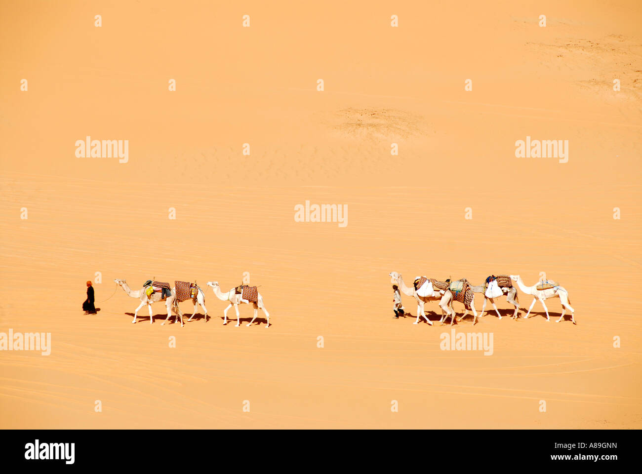 Libya tuareg camel africa desert hi-res stock photography and images ...