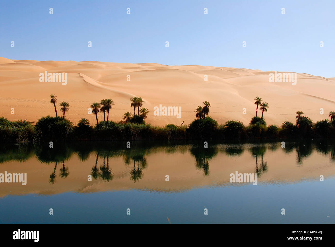 Mandara oase hi-res stock photography and images - Alamy