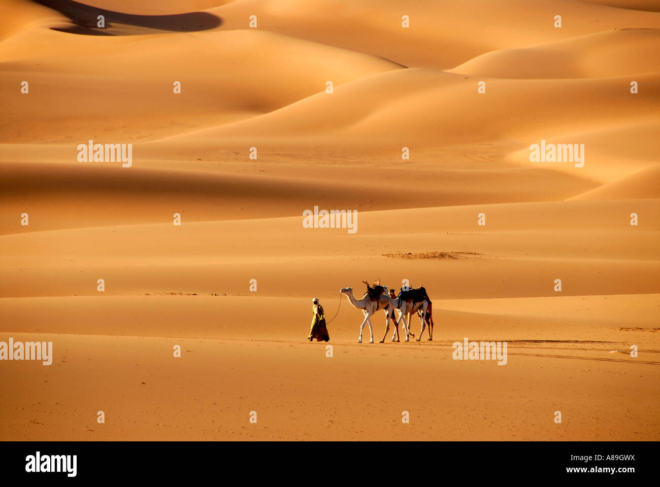 Libya Tuareg Camel Africa Desert High Resolution Stock Photography and ...