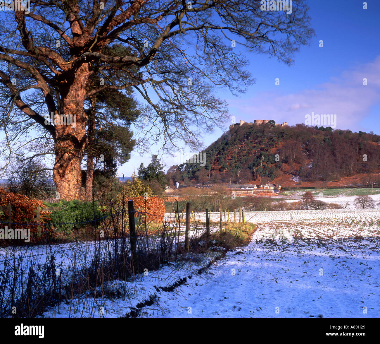 13th Century Beeston Castle in Winter Beeston Cheshire England UK Stock ...