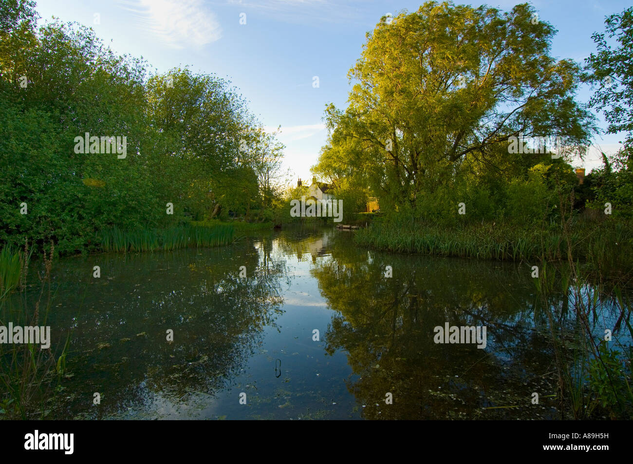 Idyllic pond, Kent England Stock Photo - Alamy