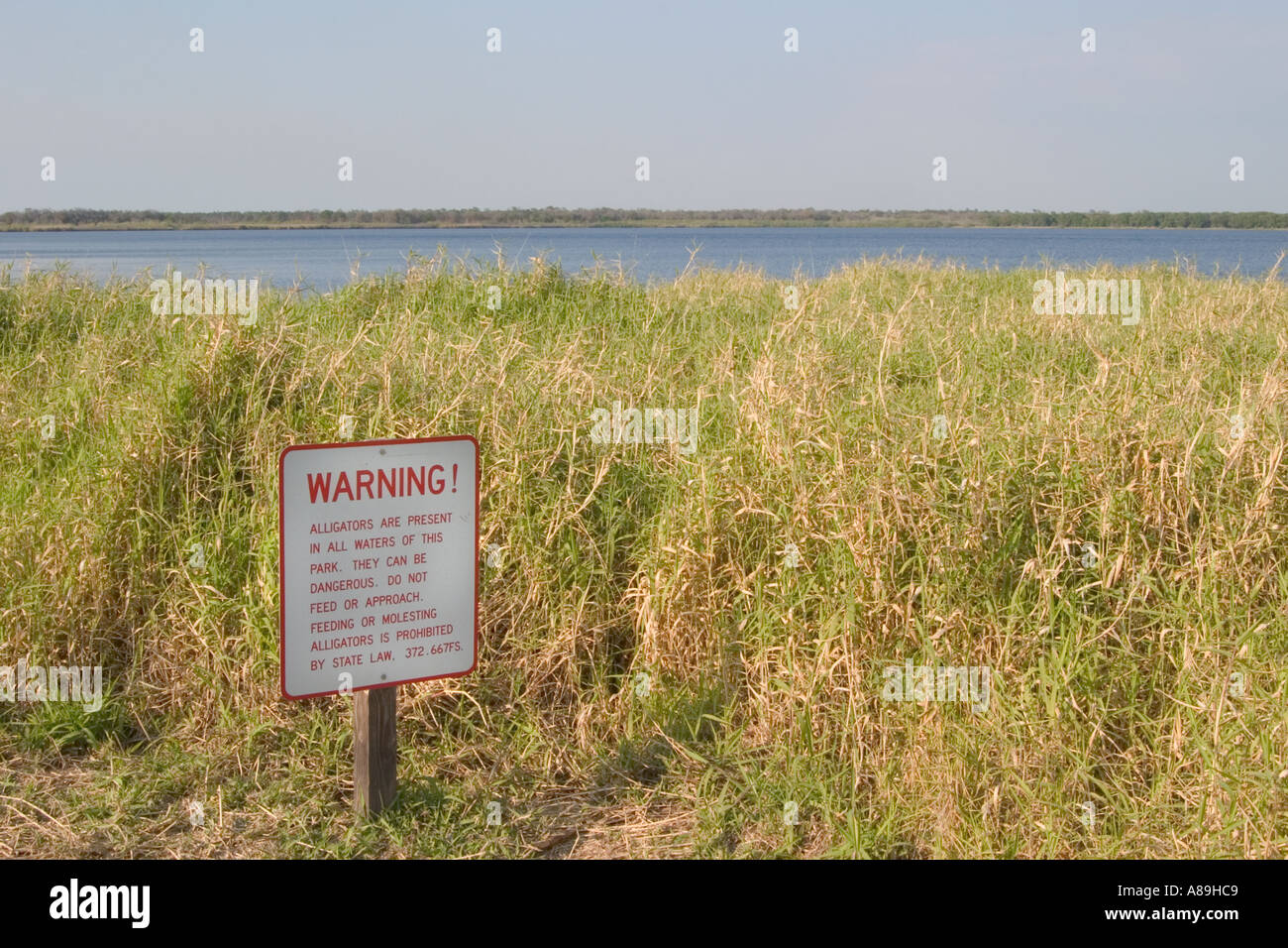 Alligator warning sign in Myakka River State Park Sarasota Florida ...