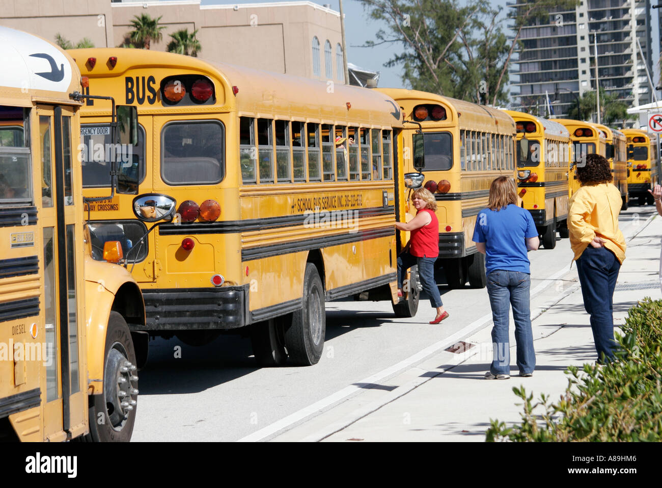 Miami Florida,Parrot Jungle island,yellow school buses,field trip ...