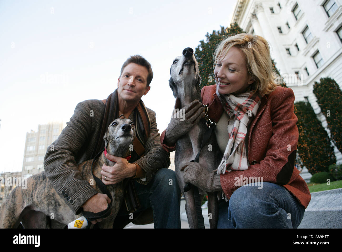 2 dogs hugging hi-res stock photography and images - Alamy