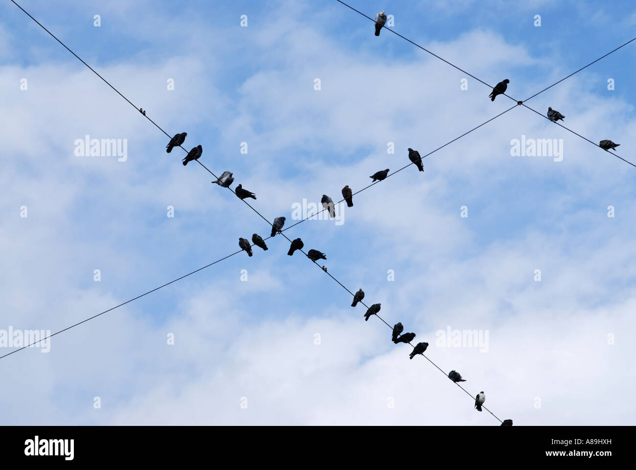 Mass of wires hi-res stock photography and images - Alamy