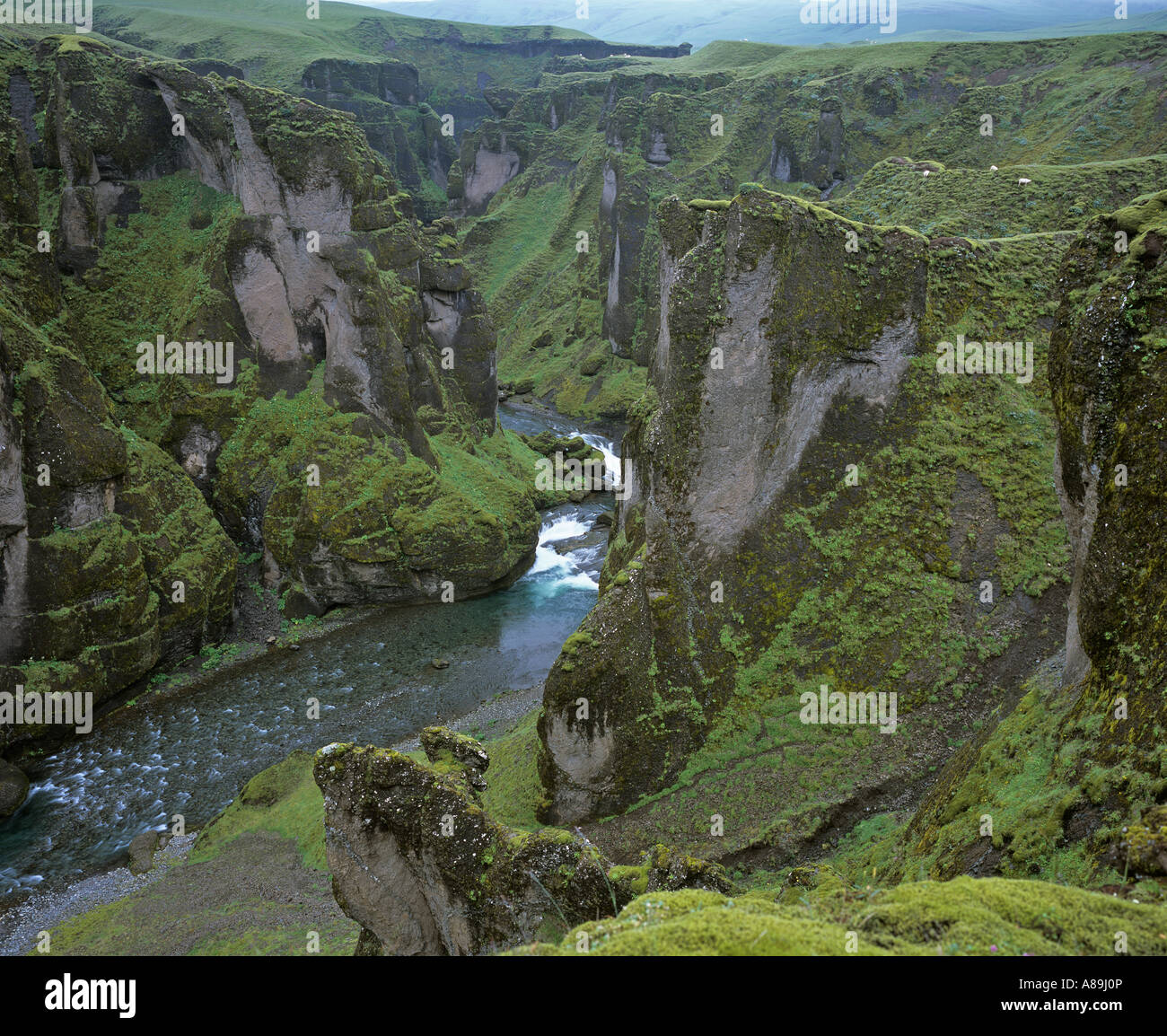 Gorge called Fjathrargljufur, near Kirkjubæjarklaustur, Iceland Stock ...