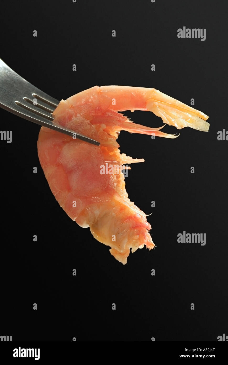 Shrimp on a Fork Stock Photo - Alamy