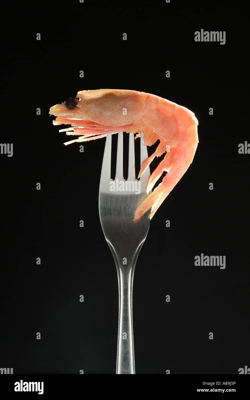 Shrimp on a Fork Stock Photo - Alamy