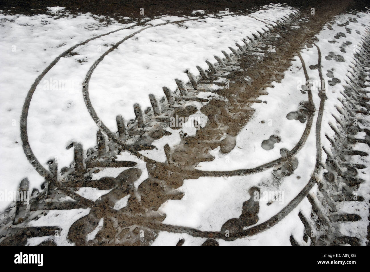 Skidmarks and footmarks, forest track in winter Stock Photo - Alamy
