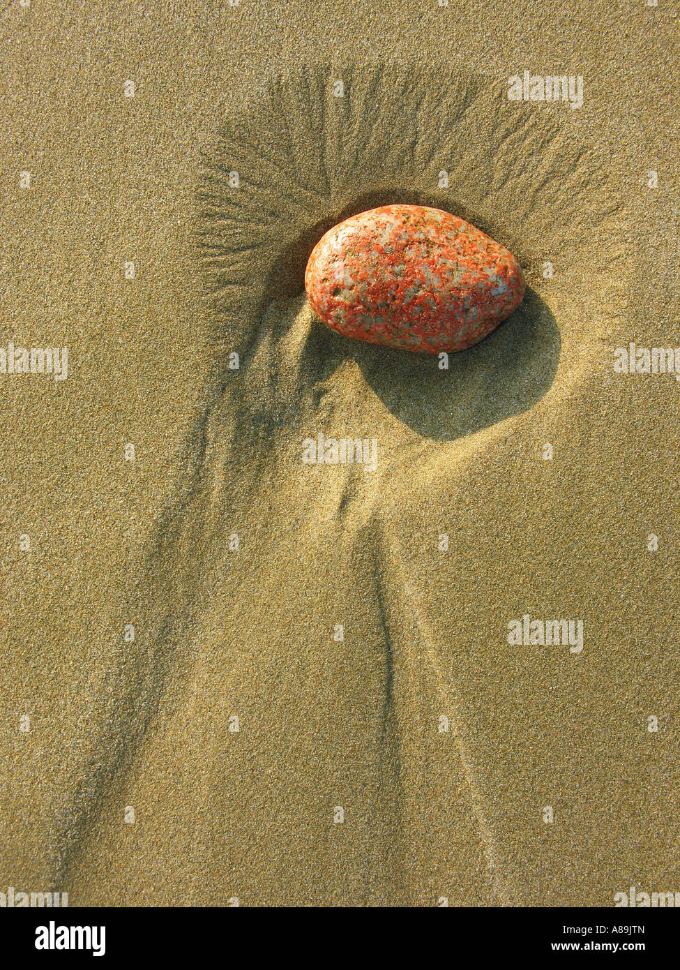 Red pebble in the sand Stock Photo - Alamy