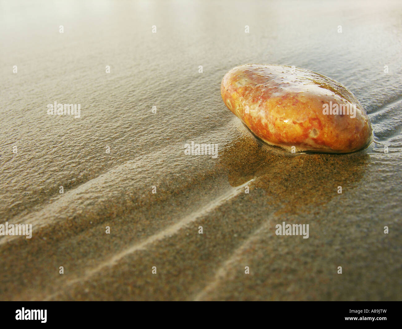 Red pebble on wet sand Stock Photo - Alamy