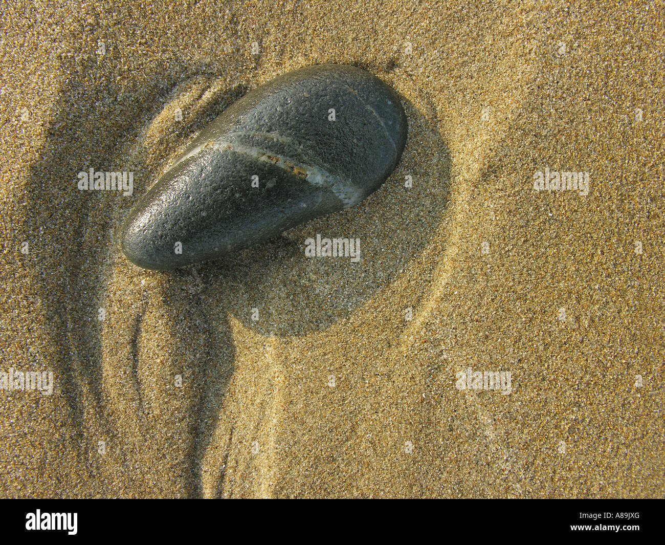 Black pebble in the sand Stock Photo - Alamy