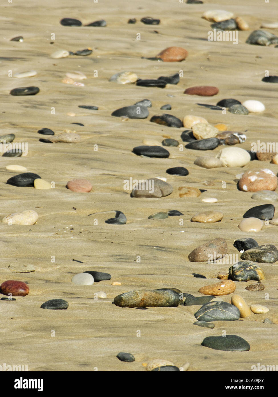 Colored pebbles in the sand Stock Photo - Alamy