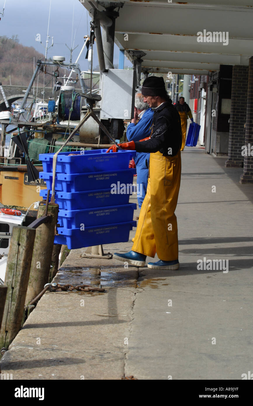 Fisherman landing catch from a trawler at East Looe Cornwall fish ...