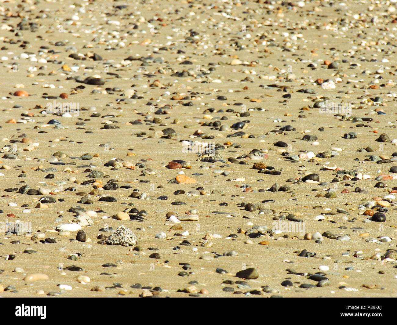 Colored pebbles in the sand Stock Photo - Alamy