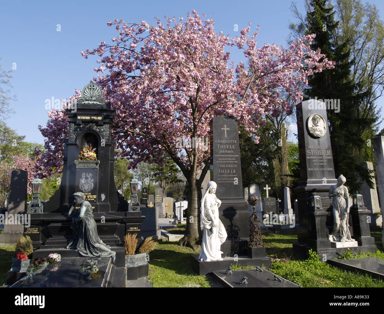 Vienna, central cemetery Stock Photo - Alamy