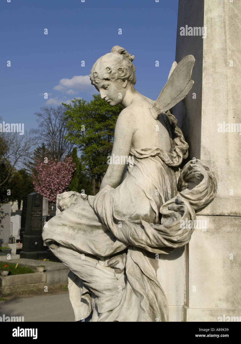 Vienna, central cemetery Stock Photo - Alamy