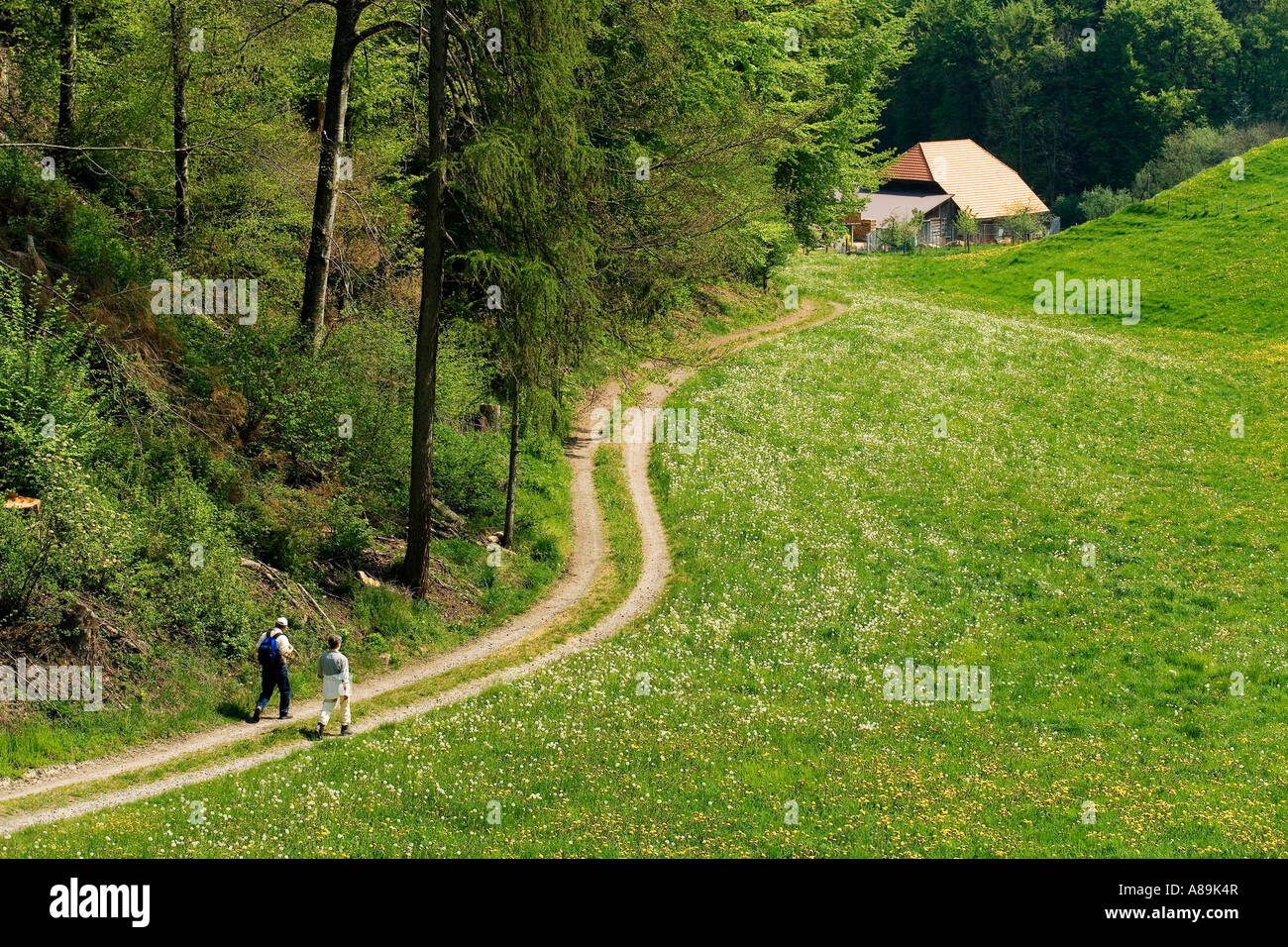 Wandern wandern wanderung route pfad weg weg weg hi-res stock ...