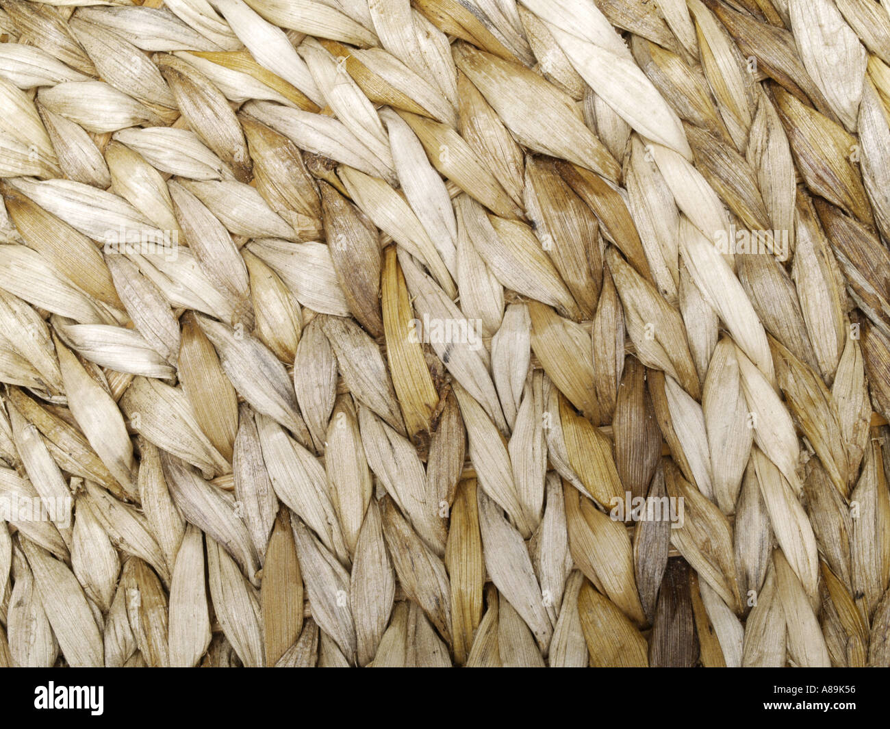Wattling hi-res stock photography and images - Alamy
