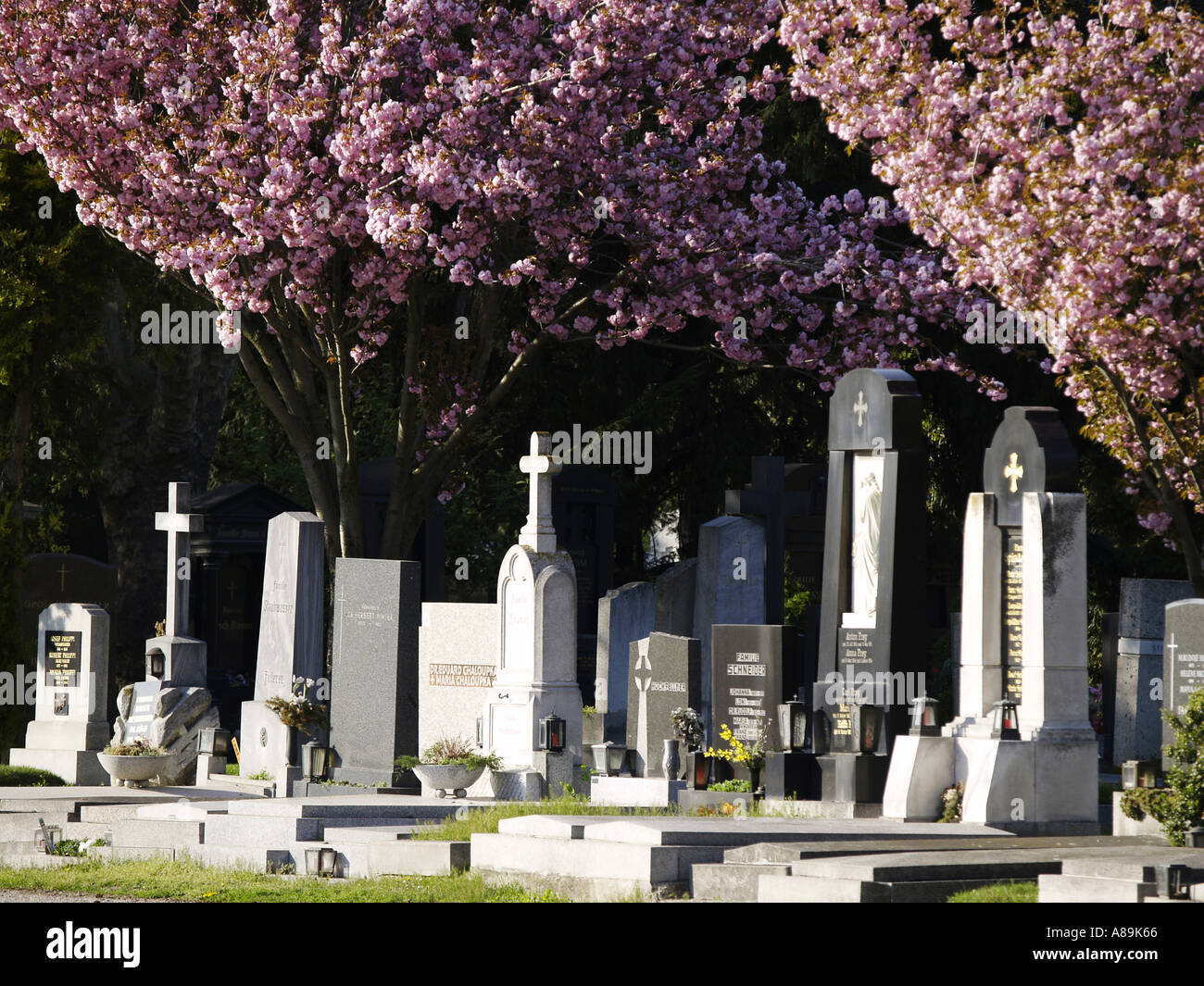 Vienna, central cemetery Stock Photo - Alamy