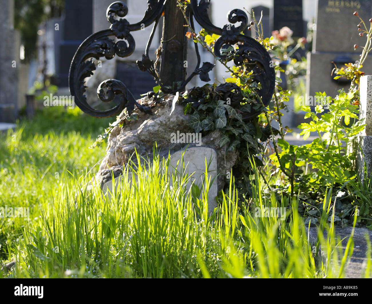 Vienna, central cemetery Stock Photo - Alamy