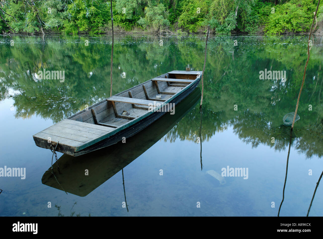 Boot im wald hi-res stock photography and images - Alamy