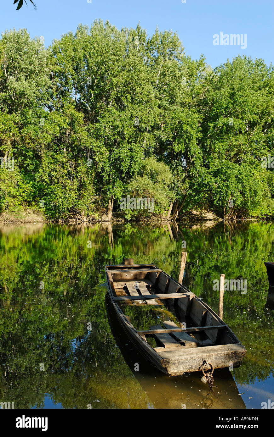 Bodrog river hi-res stock photography and images - Alamy