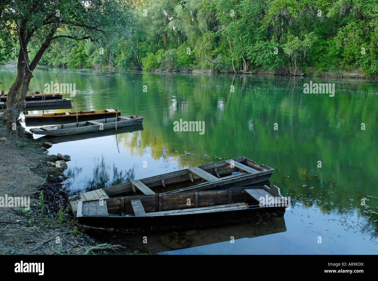 Bodrog river hi-res stock photography and images - Alamy
