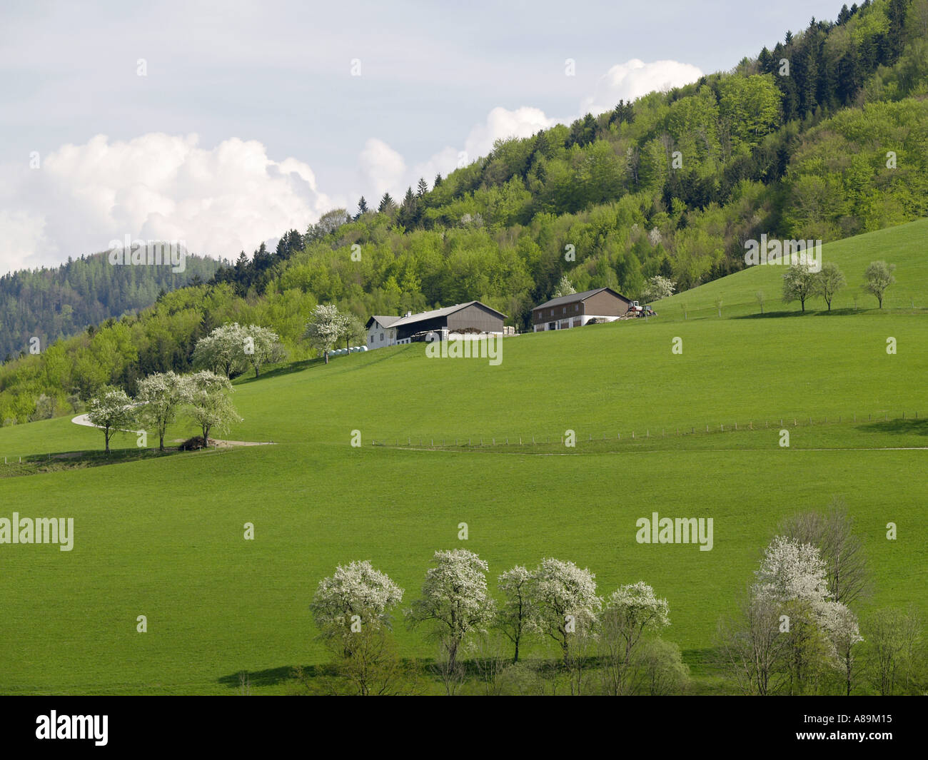 Farm on hill in hi-res stock photography and images - Alamy