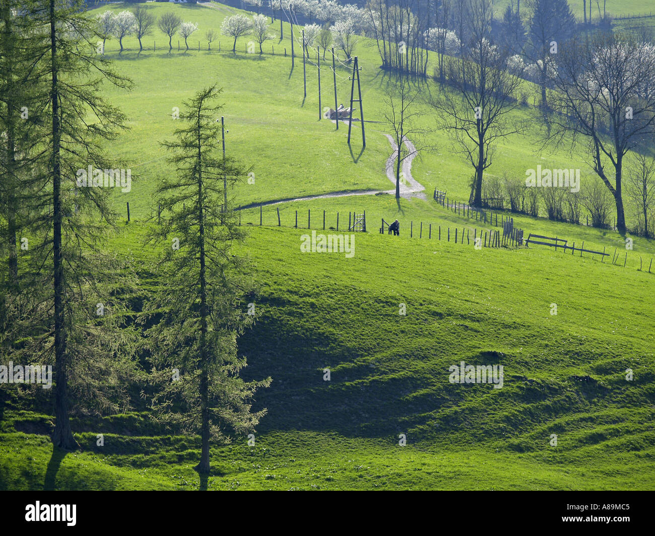 undulating landscape Mostviertel Stock Photo - Alamy