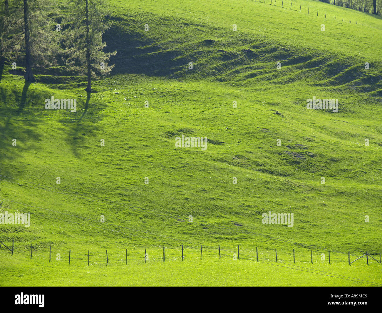 undulating landscape Mostviertel luscious green Stock Photo - Alamy