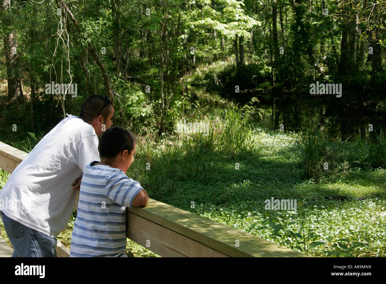Florida,Polk County,Lakeland,Saddle Creek Park,Hispanic father,parent ...
