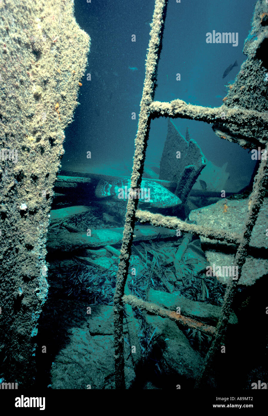 Underwater sunken ship ladder stairs Stock Photo - Alamy